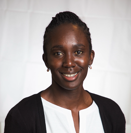 Stor-Age Investor Relations - Board of Directors